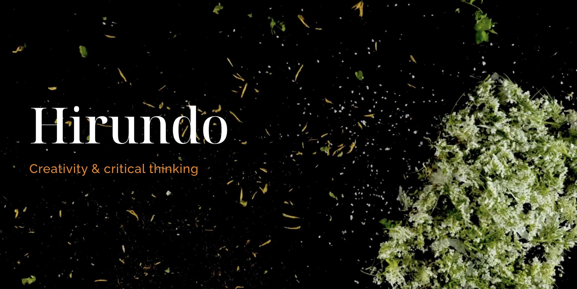 Hirundo - Hirundo - creativity & critical thinking